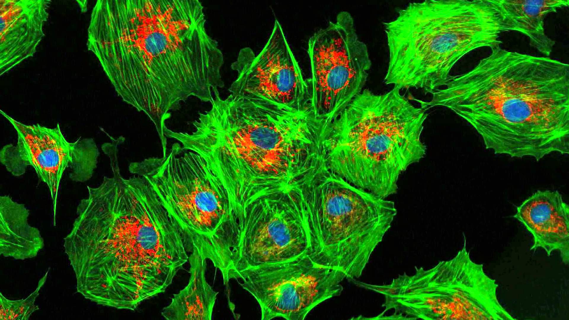 Resources - RJH BioSciences