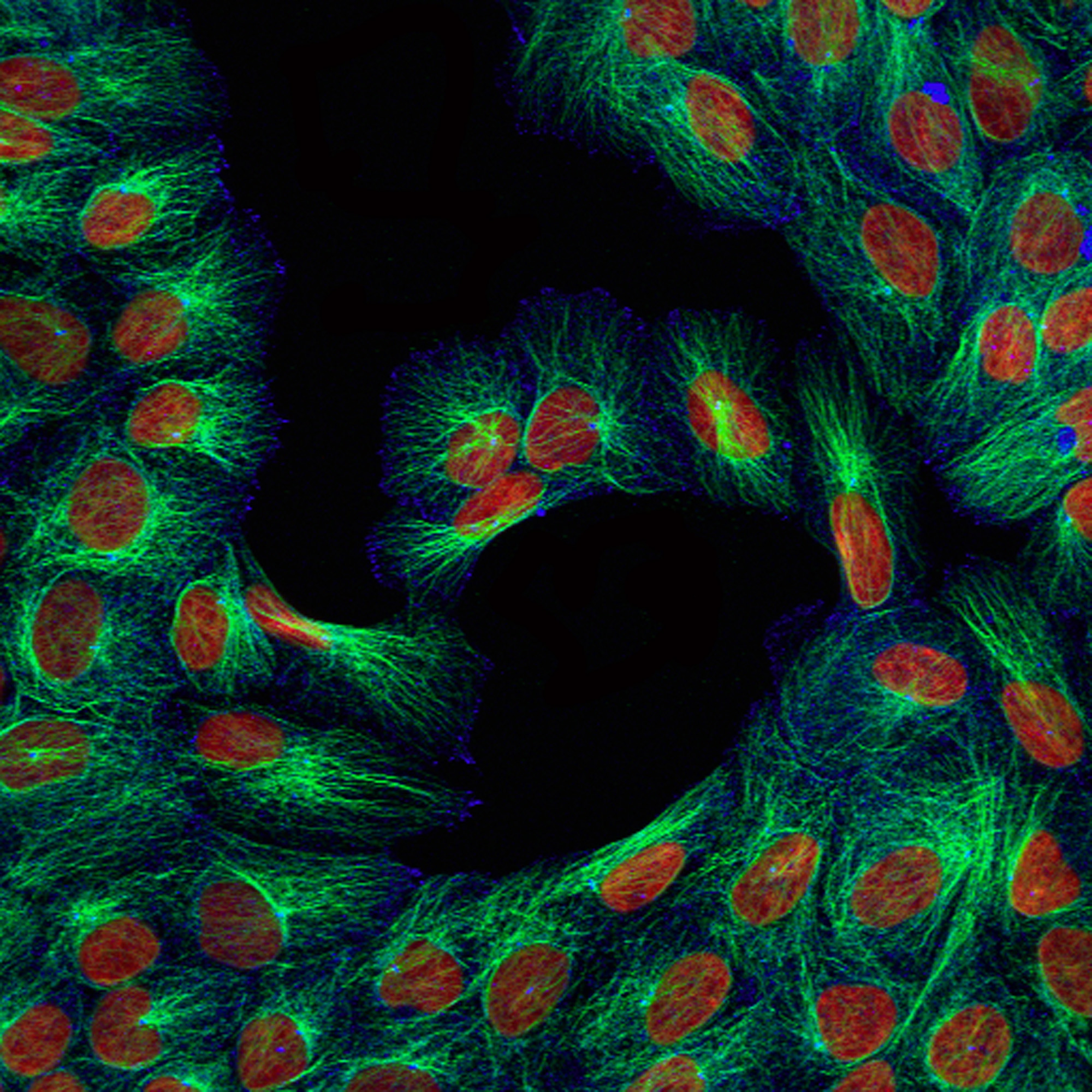 Resources - RJH BioSciences