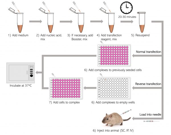 Protocols - RJH BioSciences
