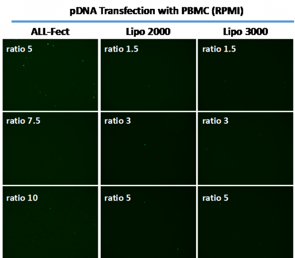 Comparing Lipofection to RJH Reagents - RJH BioSciences